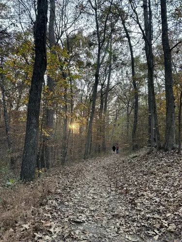 Best Hikes and Trails in Pickwick Landing State Park | AllTrails
