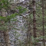 Nonesuch Falls Trail, Michigan - 203 Reviews, Map | AllTrails