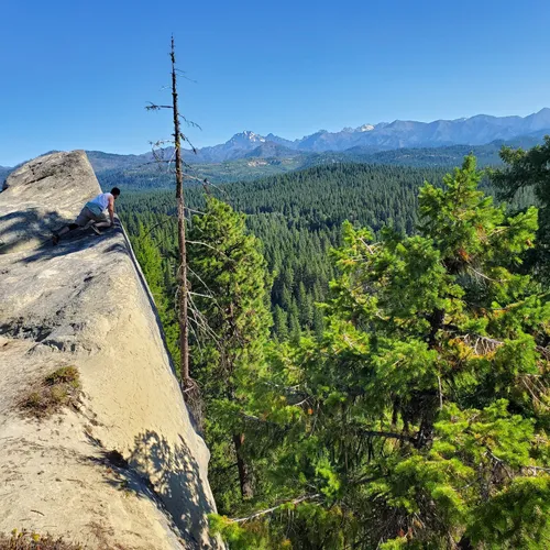 Best Hikes and Trails in Teanaway Community Forest | AllTrails