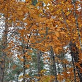 Mount Morgan and Mount Percival Loop, New Hampshire - 3,472 Reviews ...