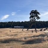 Genesee Mountain Trail Outer Loop, Colorado - 1,389 Reviews, Map ...