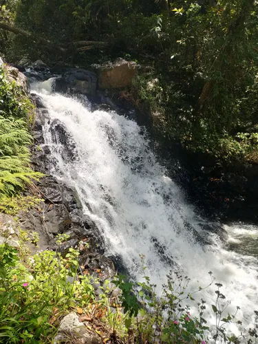 Best Waterfall Trails in Middlebrook | AllTrails
