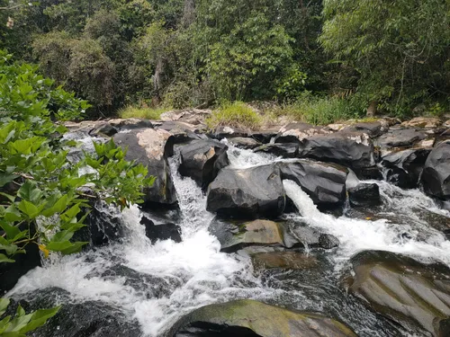 Best Waterfall Trails in Middlebrook | AllTrails