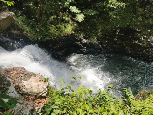 Best Waterfall Trails in Middlebrook | AllTrails