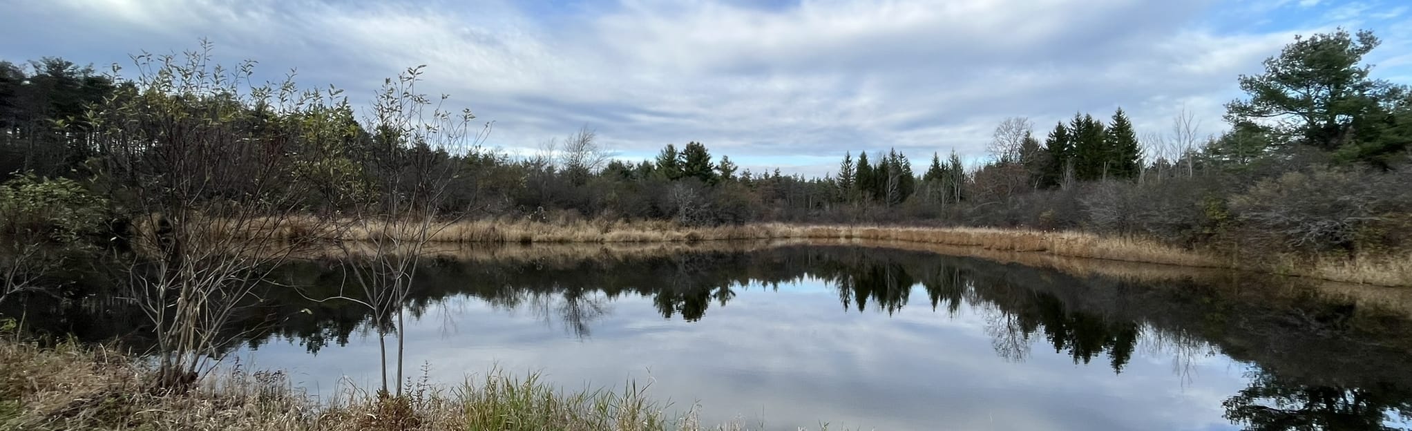 Thacher Park, Thompson Lake, and High Point Cliff via Escarpment Path ...