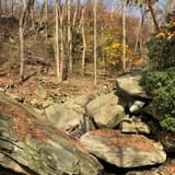 Roaring Run Trail, Pennsylvania - 479 Reviews, Map | AllTrails