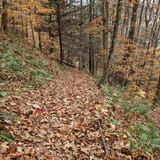 Tracy Ridge Hiking Trail System , Pennsylvania - 310 Reviews, Map ...