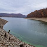 Tracy Ridge Hiking Trail System , Pennsylvania - 310 Reviews, Map ...