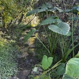 Good Water Trail from Cedar Breaks, Texas - 704 Reviews, Map | AllTrails