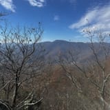 Three Ridges Trail, Virginia - 938 Reviews, Map | AllTrails