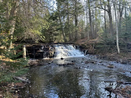 2023 Best Bird Watching Trails in Shingleton | AllTrails