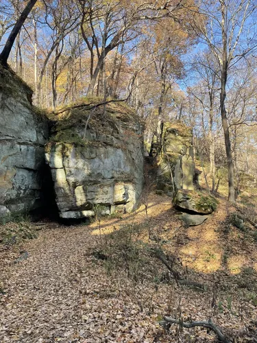 Best Hikes and Trails in Wildcat Den State Park | AllTrails