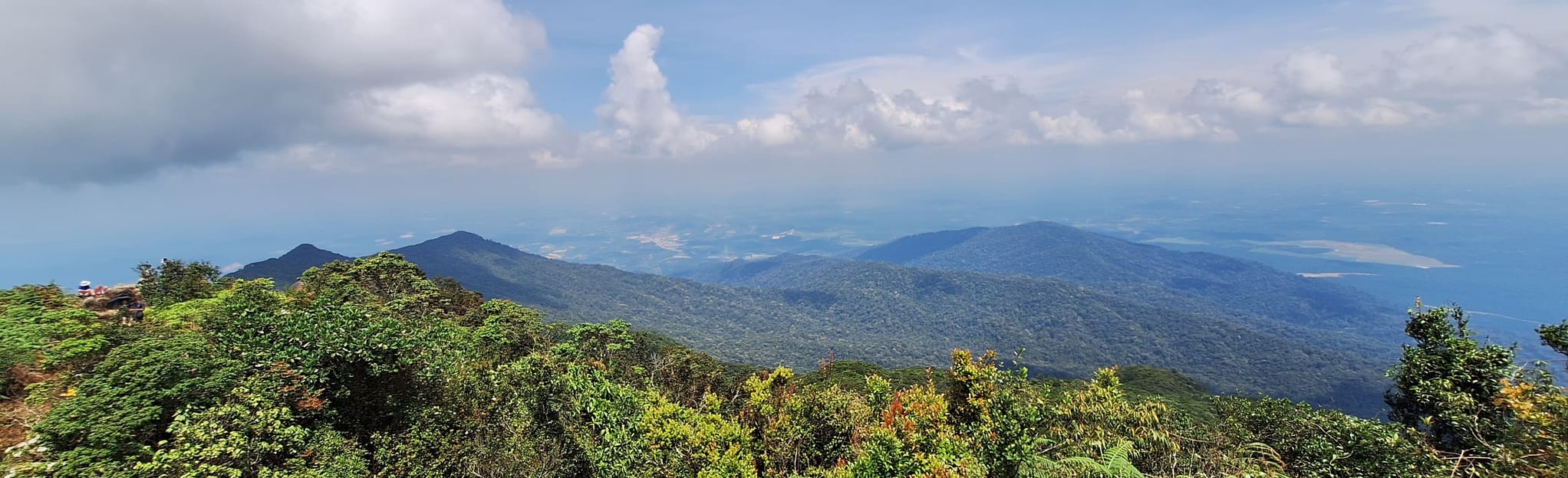 Gunung Ledang via Asahan Trail, Malacca, Malaysia - 15 Reviews, Map ...