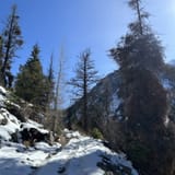 Schofield Pass Road, Colorado - 168 Reviews, Map | AllTrails