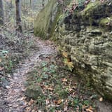Fiery Gizzard Trail to Raven's Point, Tennessee - 1,120 Reviews, Map ...