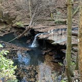 Fiery Gizzard Trail to Raven's Point, Tennessee - 1,120 Reviews, Map ...