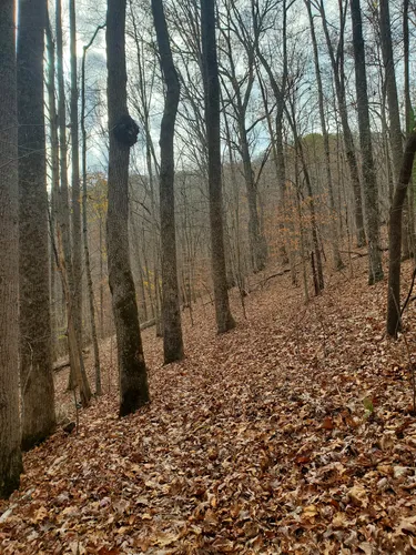 Best Hikes and Trails in Bluefield City Park | AllTrails
