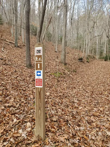 Best Hikes and Trails in Bluefield City Park | AllTrails