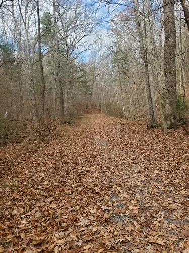 Best Hikes and Trails in Bluefield City Park | AllTrails