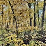 Parnell Tower Trail, Wisconsin - 830 Reviews, Map | AllTrails