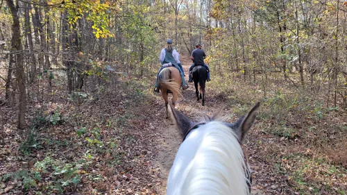 Best Off Road Driving Trails in Kentucky | AllTrails