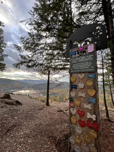 Best Hikes and Trails in Stillwater State Forest | AllTrails