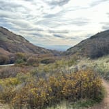 Red Butte Canyon Overlook, Utah - 343 Reviews, Map | AllTrails