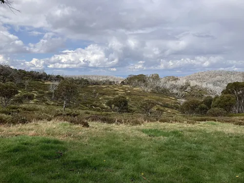 2023 Best Camping Trails in Nelse | AllTrails