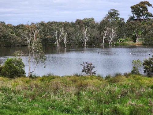 Best Hikes and Trails in Banyule Flats Reserve | AllTrails