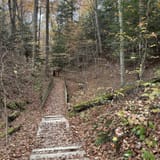 Salt Run, Ohio - 1,174 Reviews, Map | AllTrails