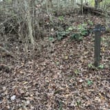 Salt Run, Ohio - 1,174 Reviews, Map | AllTrails