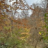 Salt Run, Ohio - 1,174 Reviews, Map | AllTrails