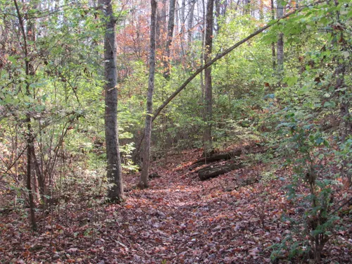 Best Hikes and Trails in Stanberry Park | AllTrails