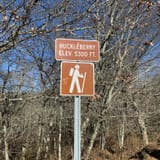 Huckleberry Knob Trail, North Carolina - 612 Reviews, Map | AllTrails