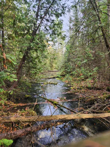 Sulphur Spring Conservation Area: de beste routes om te wandelen ...