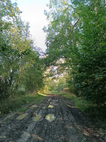 Best Hikes and Trails in Odell Great Wood | AllTrails