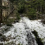 Mount Jackson and Mount Webster Trail Loop, New Hampshire - 2,051 ...