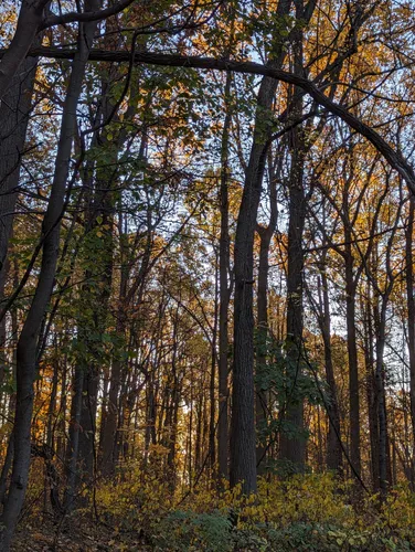 Best Hikes and Trails in State Game Lands Number 145 | AllTrails