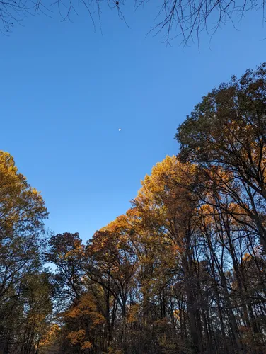 Best Hikes and Trails in State Game Lands Number 145 | AllTrails