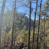 Pin-Chin-Sky Loop, Alabama - 677 Reviews, Map | AllTrails