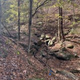 Pin-Chin-Sky Loop, Alabama - 677 Reviews, Map | AllTrails