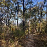 Pin-Chin-Sky Loop, Alabama - 677 Reviews, Map | AllTrails