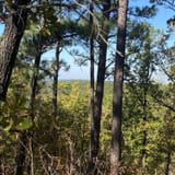 Pin-Chin-Sky Loop, Alabama - 677 Reviews, Map | AllTrails