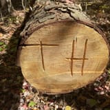 Pin-Chin-Sky Loop, Alabama - 677 Reviews, Map | AllTrails