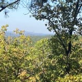 Pin-Chin-Sky Loop, Alabama - 686 Reviews, Map | AllTrails
