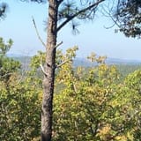 Pin-Chin-Sky Loop, Alabama - 677 Reviews, Map | AllTrails