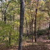 Pin-Chin-Sky Loop, Alabama - 677 Reviews, Map | AllTrails