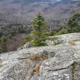 Square Ledge in Pinkham Notch, New Hampshire - 546 Reviews, Map | AllTrails