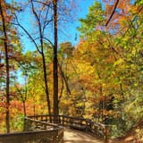 Issaqueena Falls Trail, South Carolina - 835 Reviews, Map | AllTrails