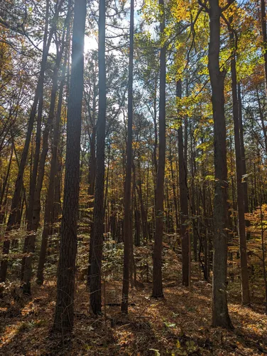 Best Hikes and Trails in German Ridge Recreation Area | AllTrails